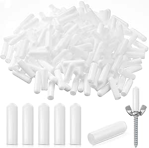 Maasechs 200 Pcs 1/4" x 1" Hurricane Shutter Hardware Screw Protector Caps 6 mm Anchors Covers ...
