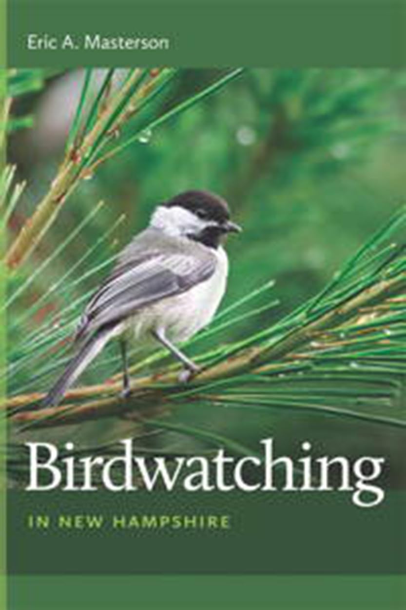 Nh Birds Identification Back To New Hampshire For Birds Jim Block