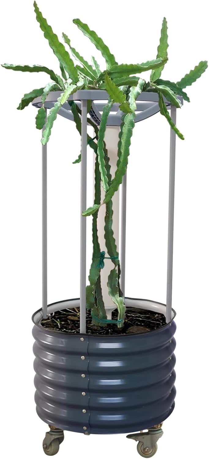 Amazon.com: Vego garden Dragon Fruit Planter Pot with Self Watering ...