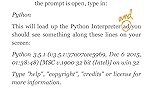 Python Programming: A Beginner's Guide to Learn Python in 7 Days : Hamilton, Ramsey: Amazon.in ...