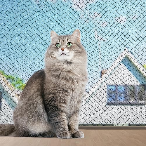 Classifica 10 migliori rete per gatti resistente da acquistare online