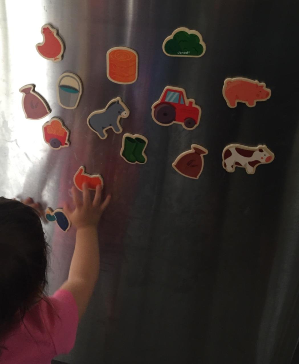 Amazon.com: Janod Barnyard Magnets : Toys & Games