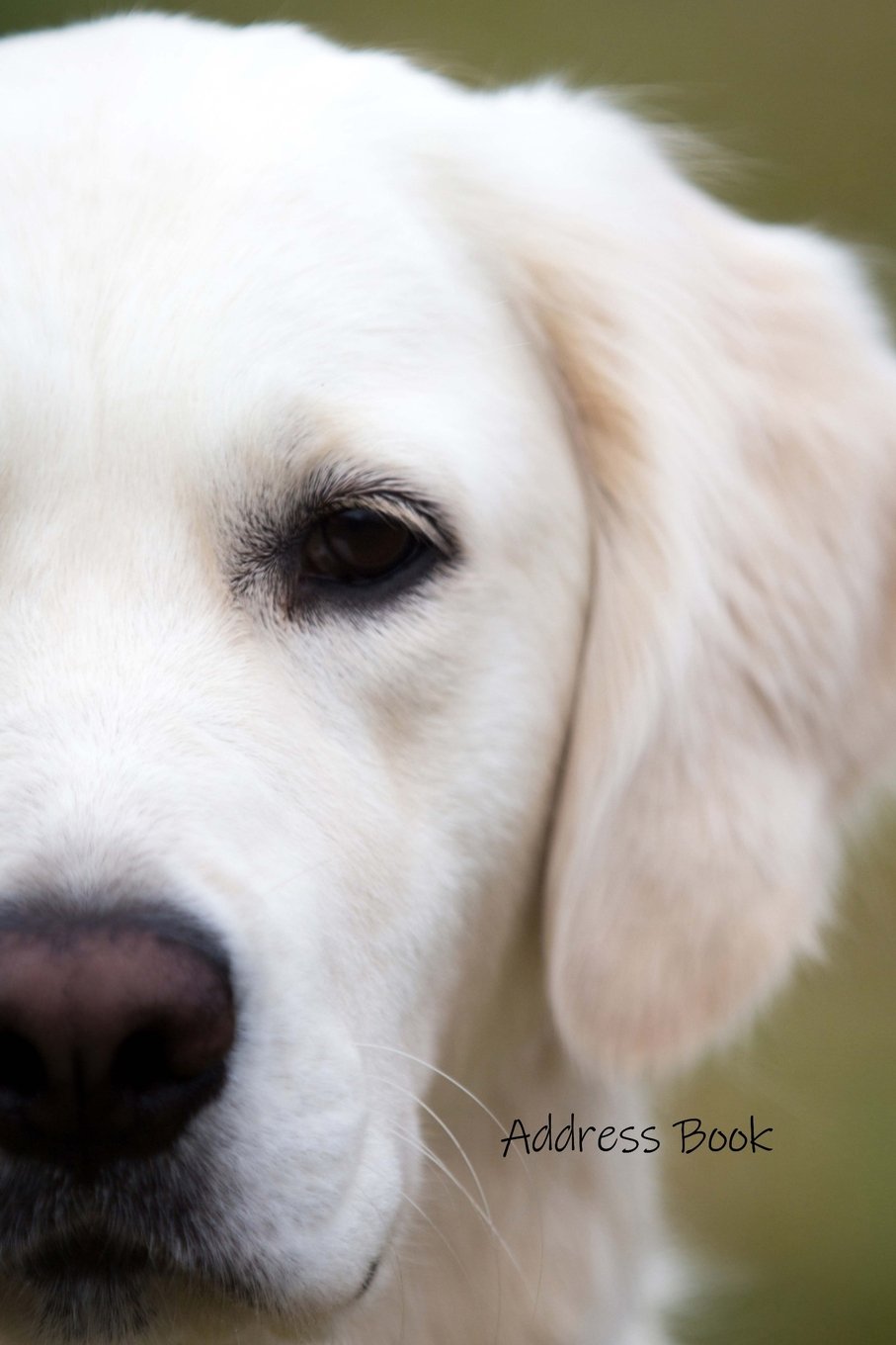 Address Book: Labrador Retriever dog address book for women, men & kids ...