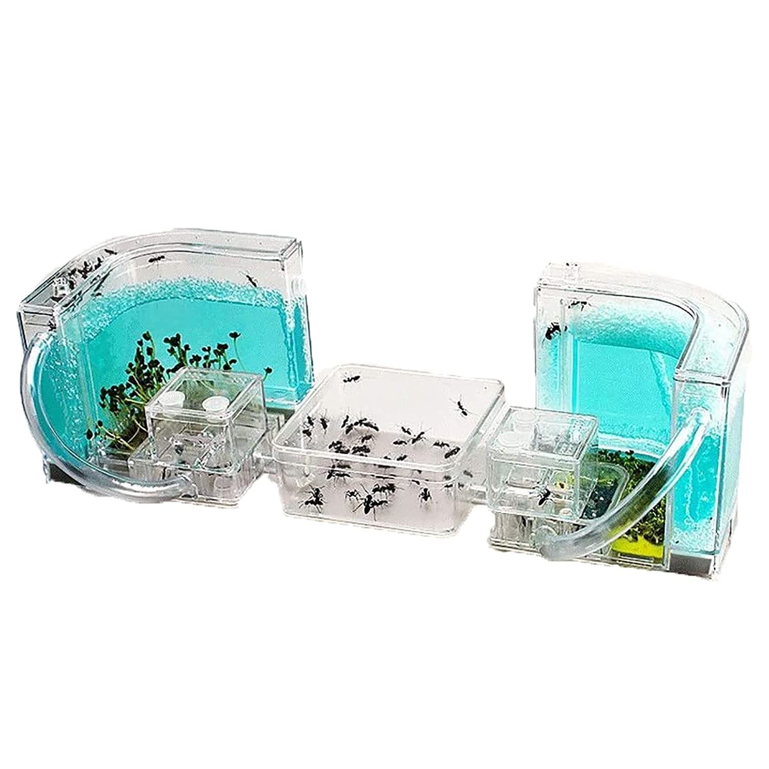 Buy Ant Home VS Model, Blue Ant Workshop Ant Castle, improved ...