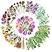 Amazon.com: Transparent Vintage Plant Stickers Set - Treein 60PCS ...
