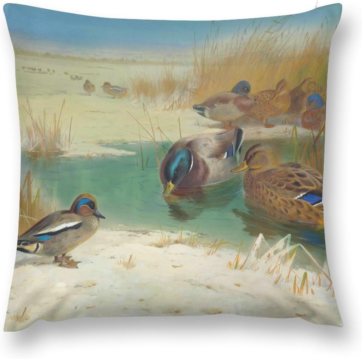 Amazon.com: Mallard Ducks Short Velvet Throw Pillow Cover 18x18 Inch ...
