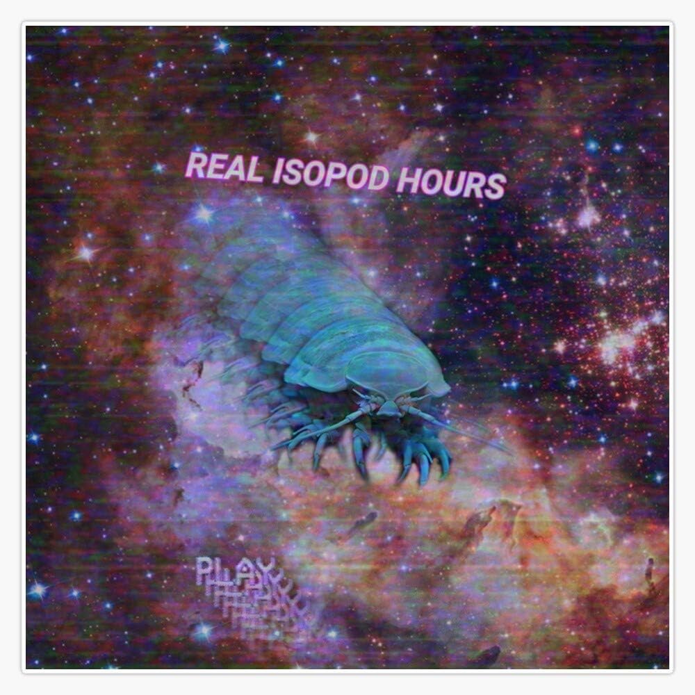 Amazon.com - Real Isopod Hours Sticker Vinyl Bumper Sticker Decal ...