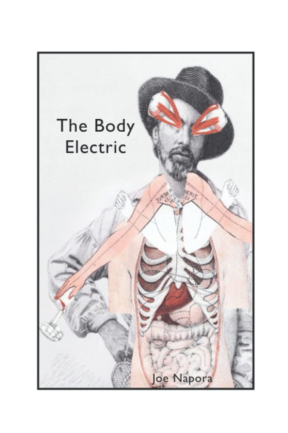 The Body Electric: Being a Poem-Illustration Annotation of Walt Whitman ...