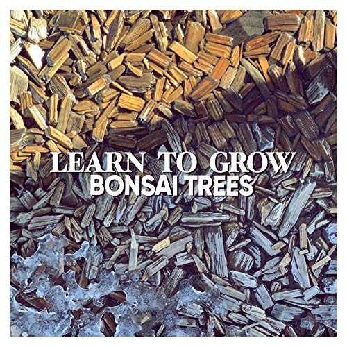 Play Learn to Grow by Bonsai Trees on Amazon Music