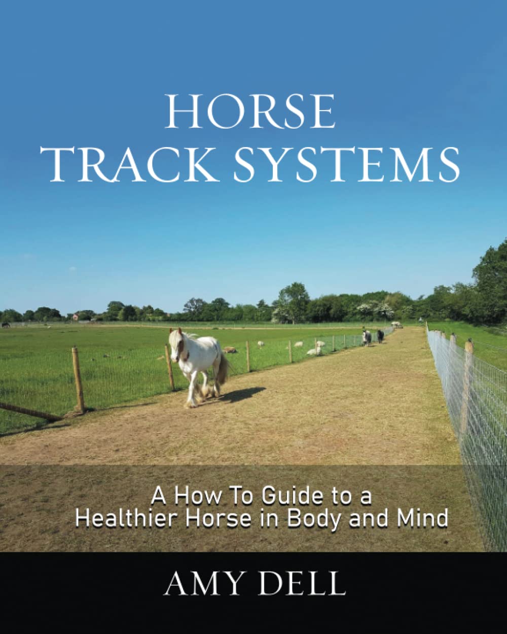 Snapklik.com : Horse Track Systems: A How To Guide To A Healthier Horse ...