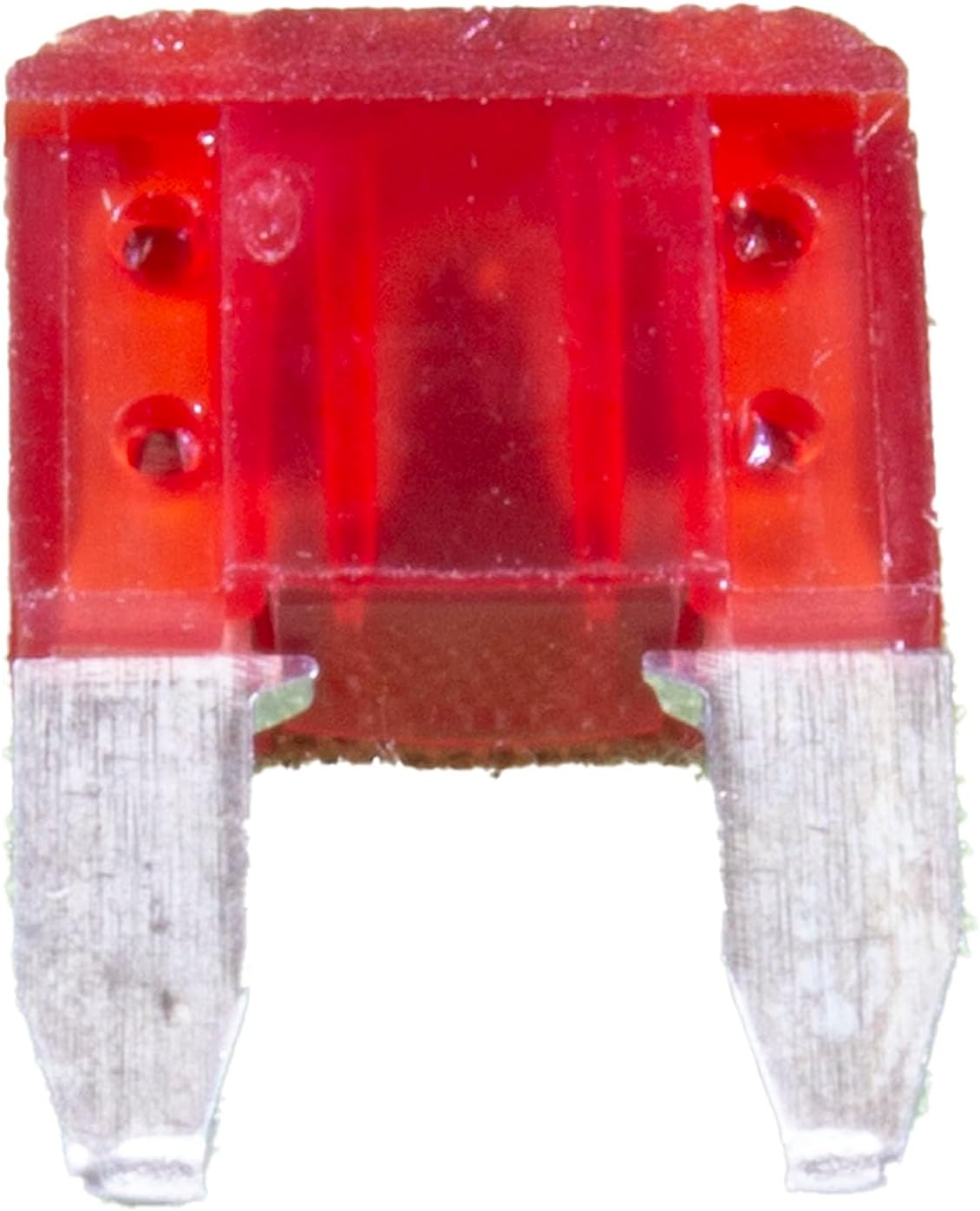 Amazon.com: Pentair 522745 Fuse Replacement Auto Style Intellichlor ...