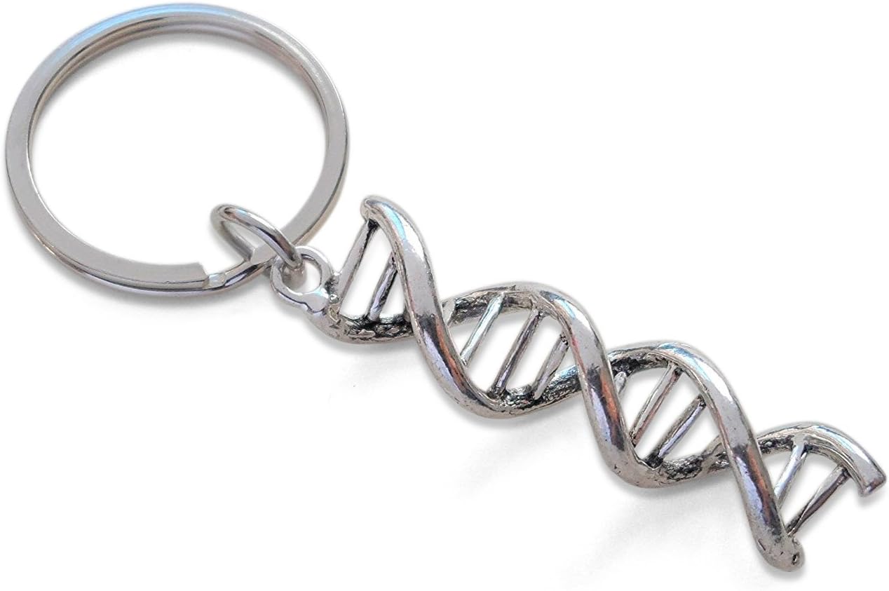 Amazon.com: JewelryEveryday DNA Molecule Double Helix Keychain, Science ...