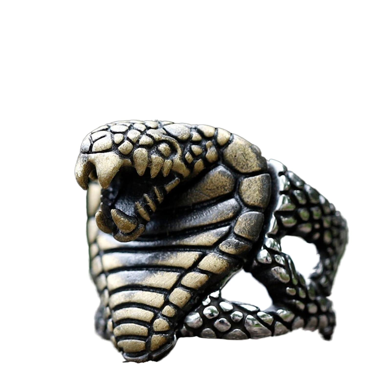 Snake Head Channa Nachi The New Snake Head Fish Of Meghalaya East