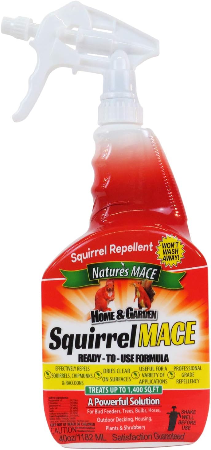 Amazon.com: Nature's MACE Squirrel Repellent 40 Ounce Spray, Squirrel ...