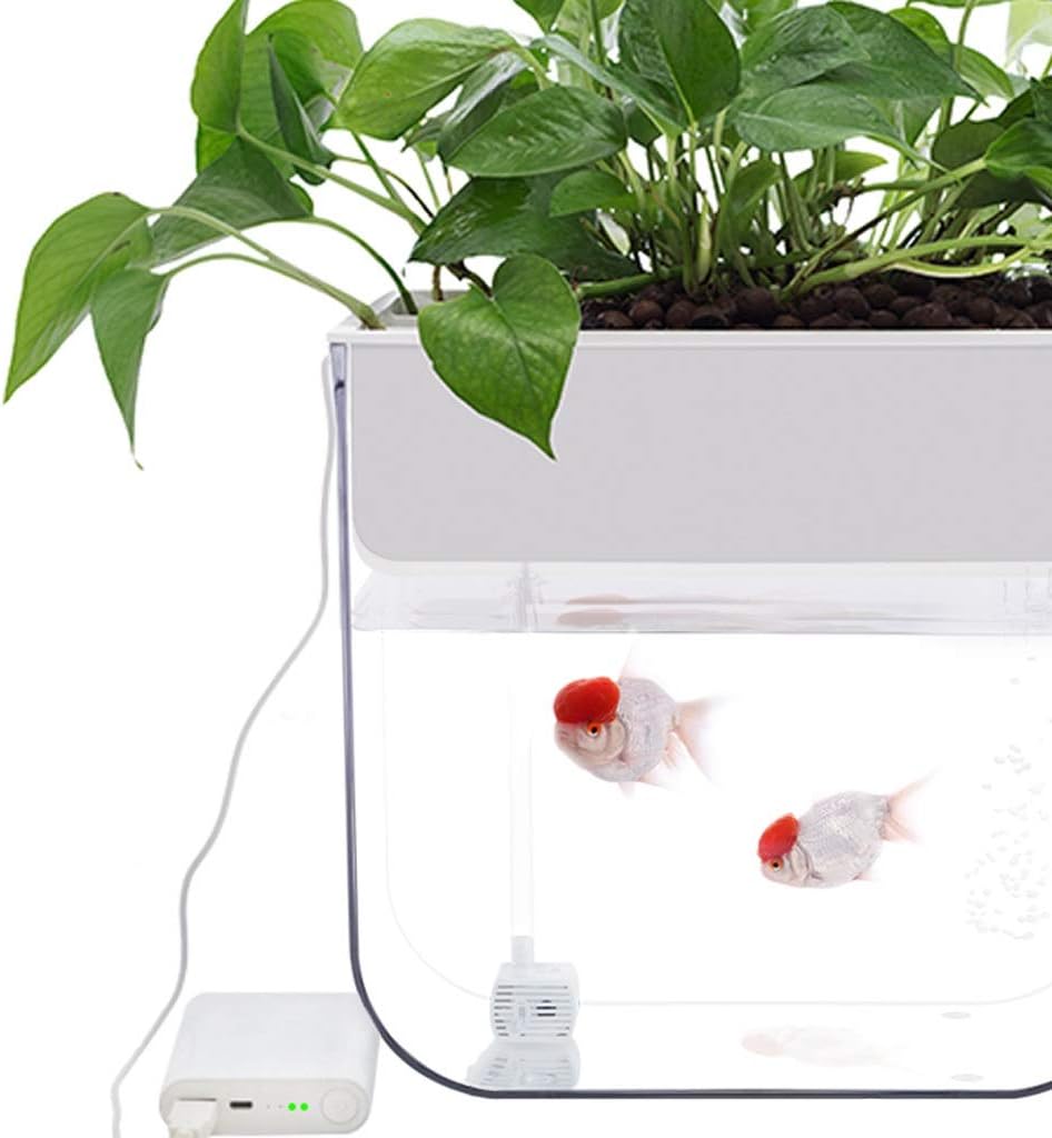 Buy XIANGGUI 1983 Fish Bowls Personality Creative Plastic Fish Cylinder ...