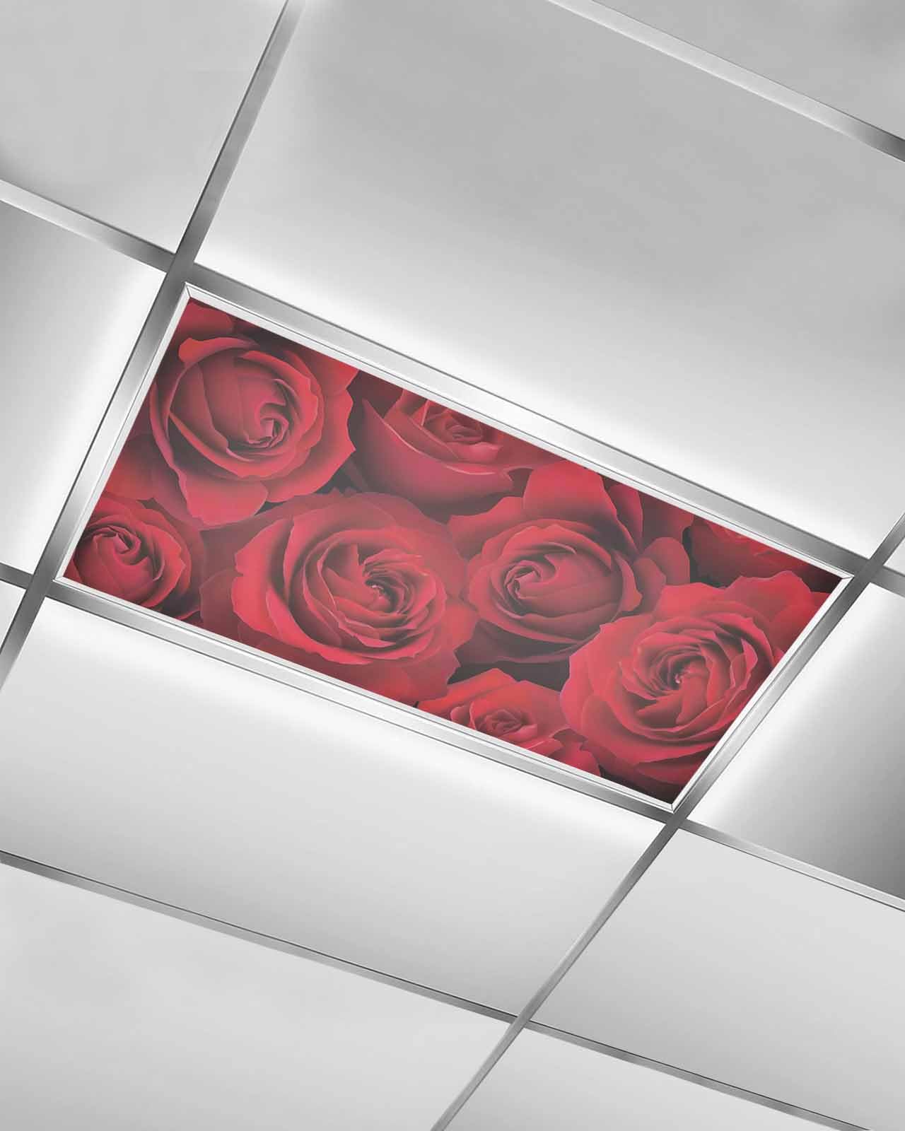 Fluorescent Light Covers With Angels Here’s How To Change Your Light