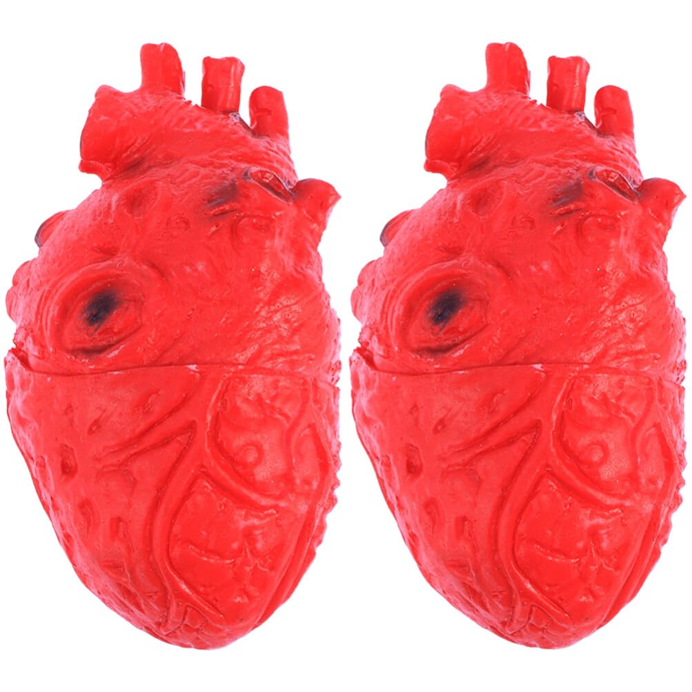 Amazon.com: DECHOUS 2Pcs Heart Halloween Prop Realistic Fake Heart Body ...