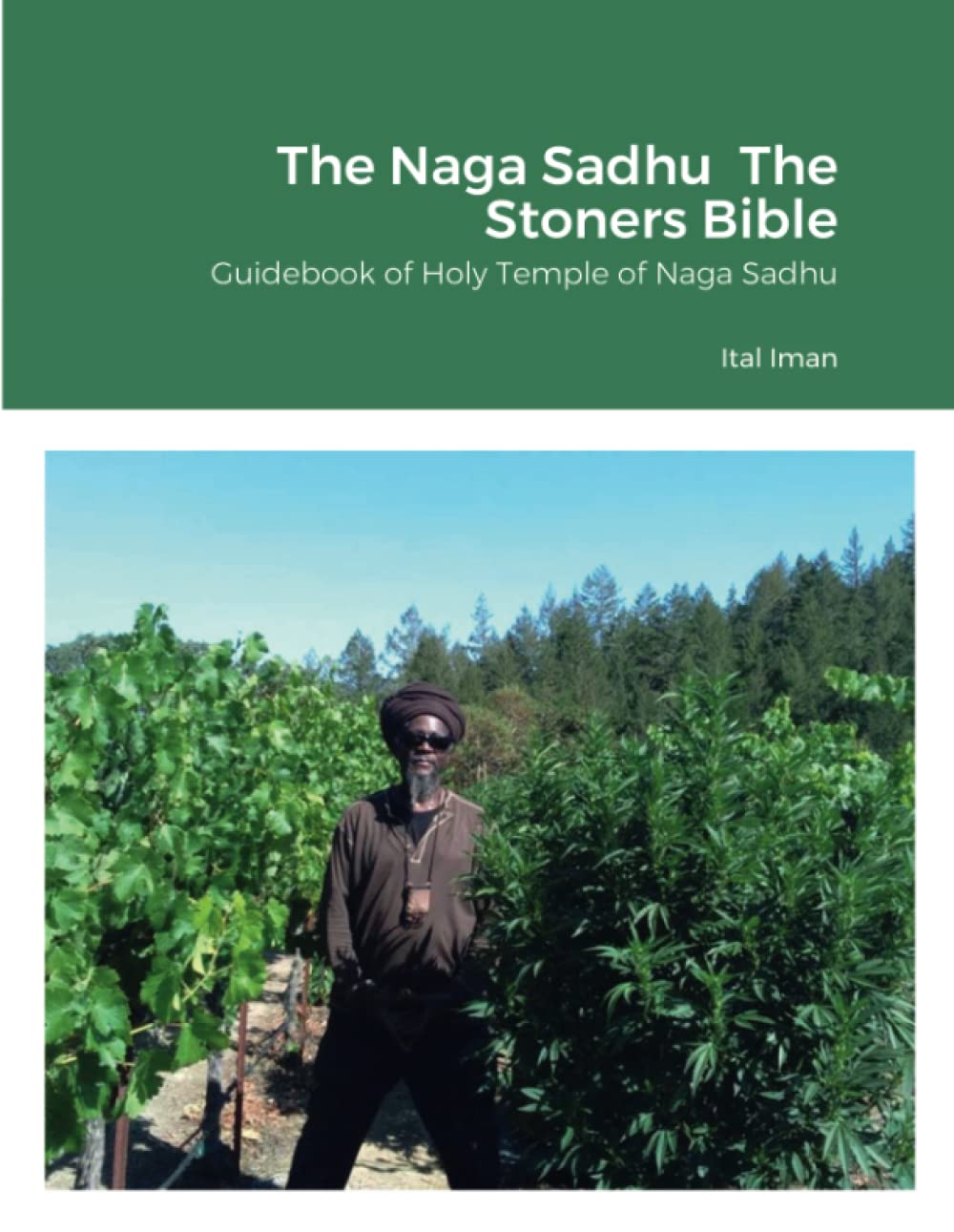 Buy The Naga Sadhu The Stoners Bible: Guidebook of Holy Temple of Naga ...