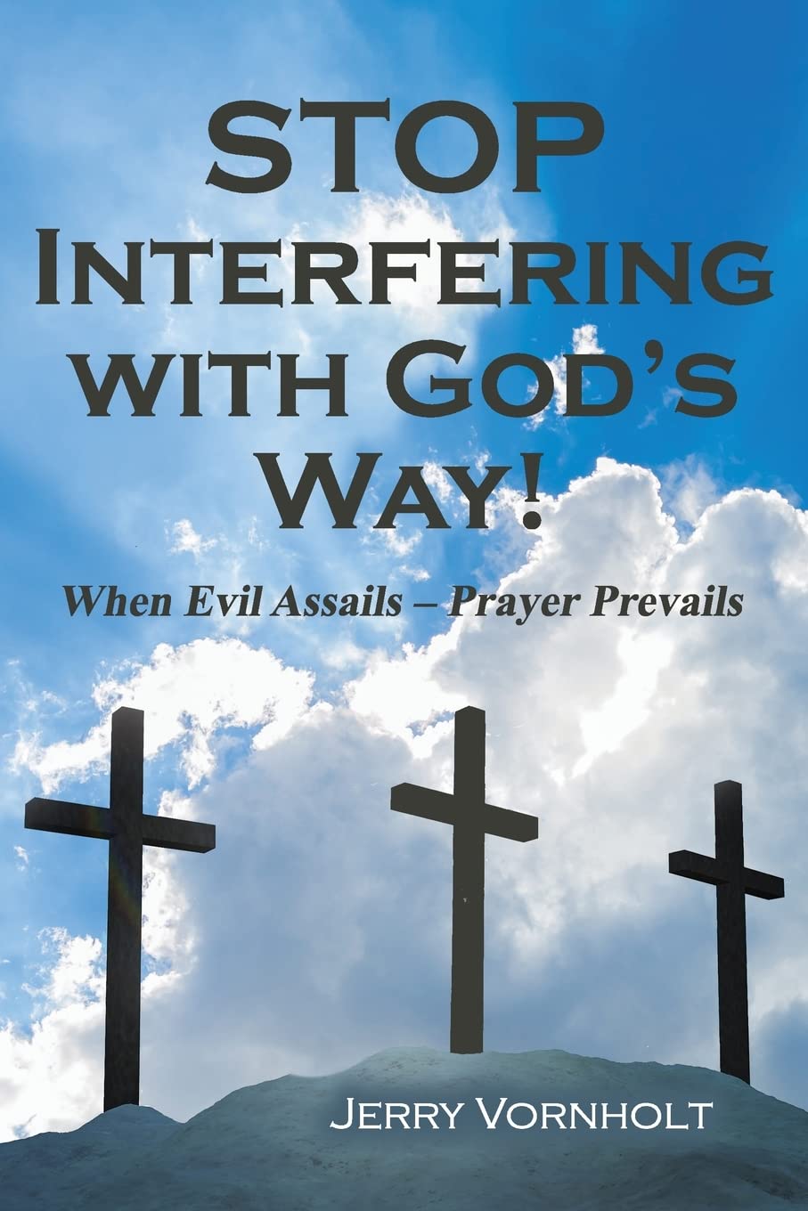 Stop Interfering with God's Way!: Vornholt, Jerry: 9781630734497 ...