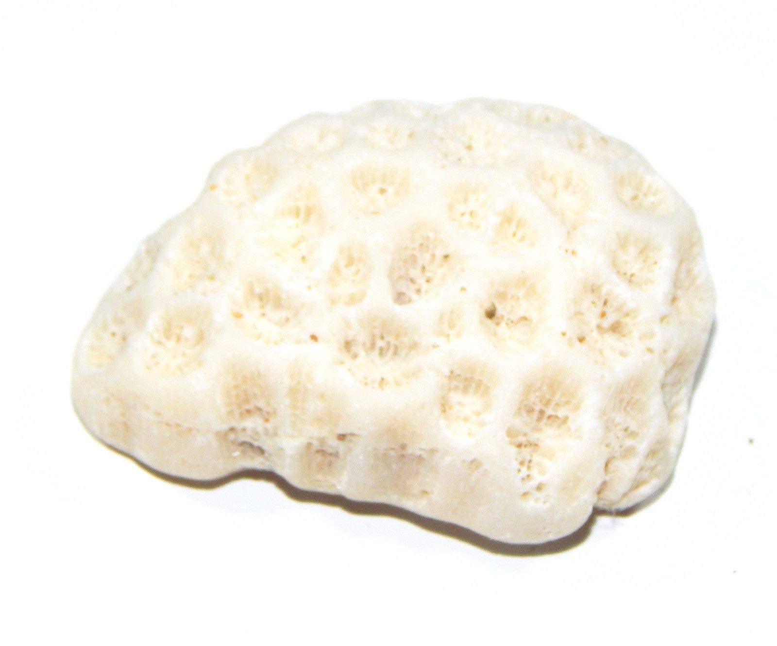 Buy phoenix888 Holy Lord Ram Shila Pearl of Sri Ram Haunted Spirit ...
