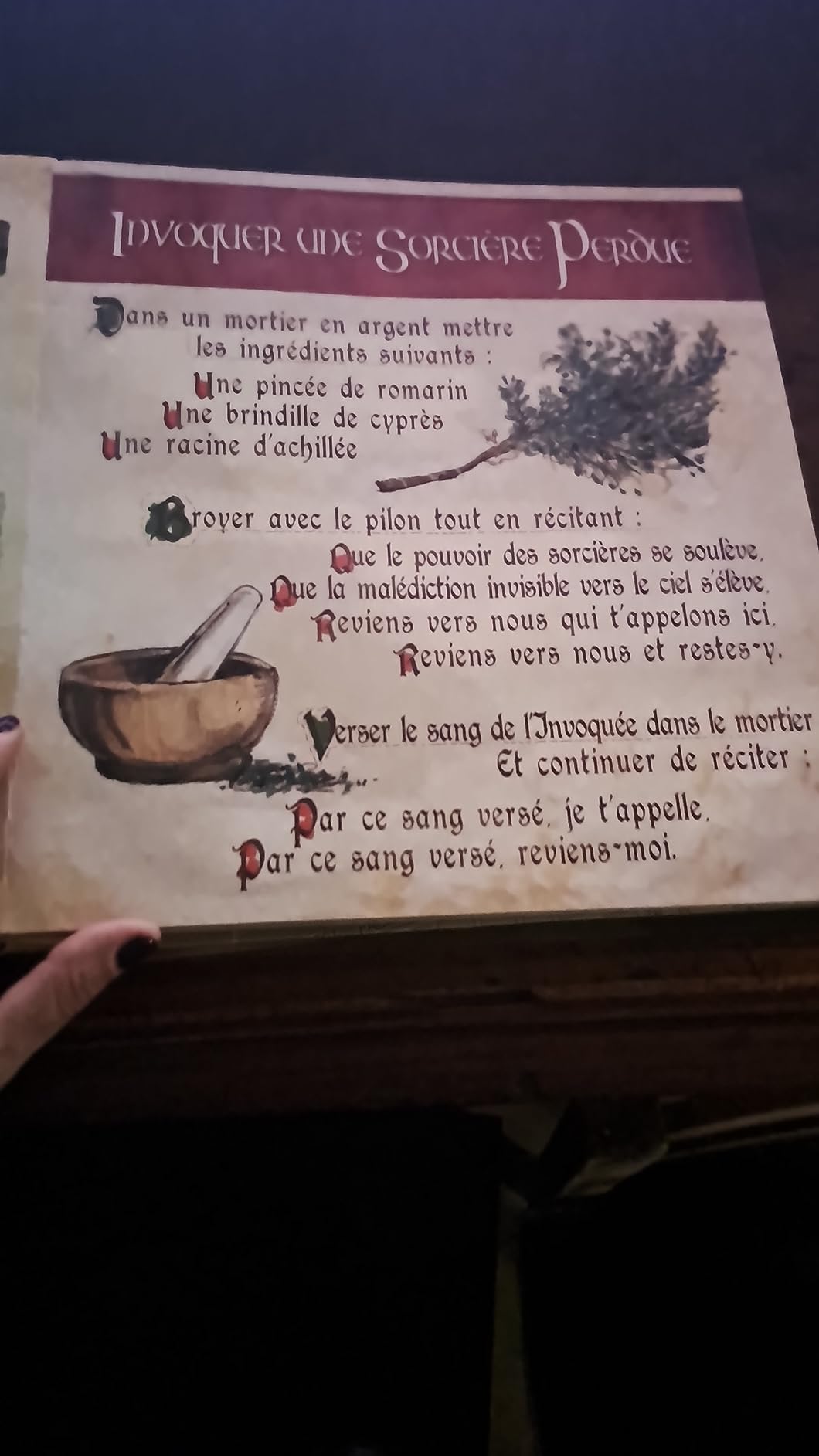 Charmed: The Complete Series [DVD]: Amazon.es: Peter Woodward, Ian ...