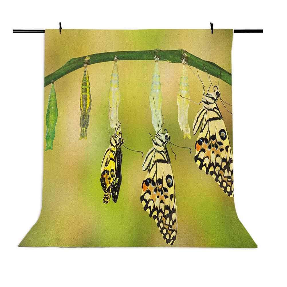 Buy 7x10 FT Swallowtail Butterfly Vinyl Photography Background ...