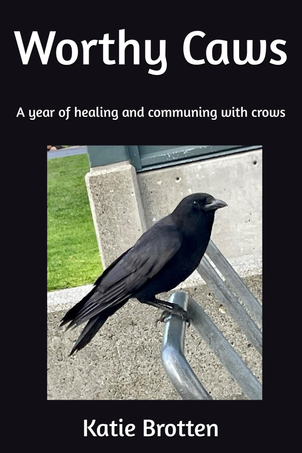Amazon.com: Worthy Caws: A year of healing and communing with crows ...