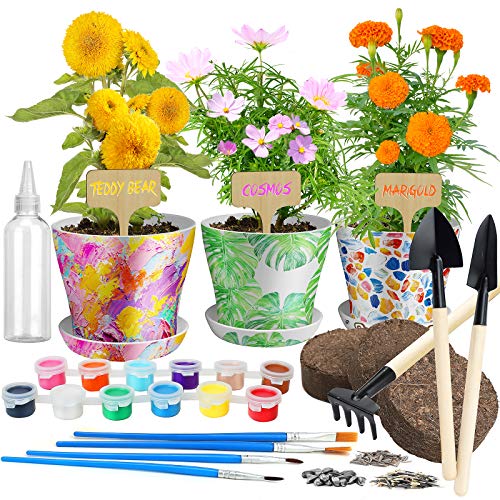 8 Best Plant Growing Kits for Kids | Fun Gardening for Kids
