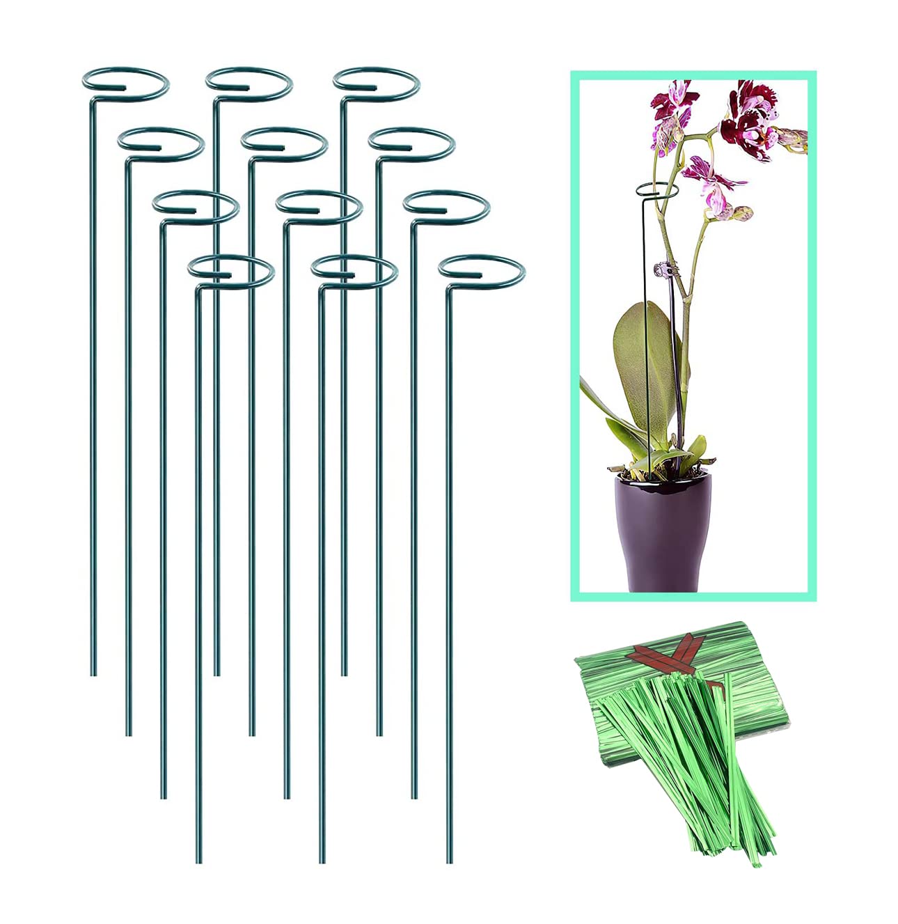 Amazon.com : Garden Plant Support Stakes,12 Packs 16 Inches Single Stem ...