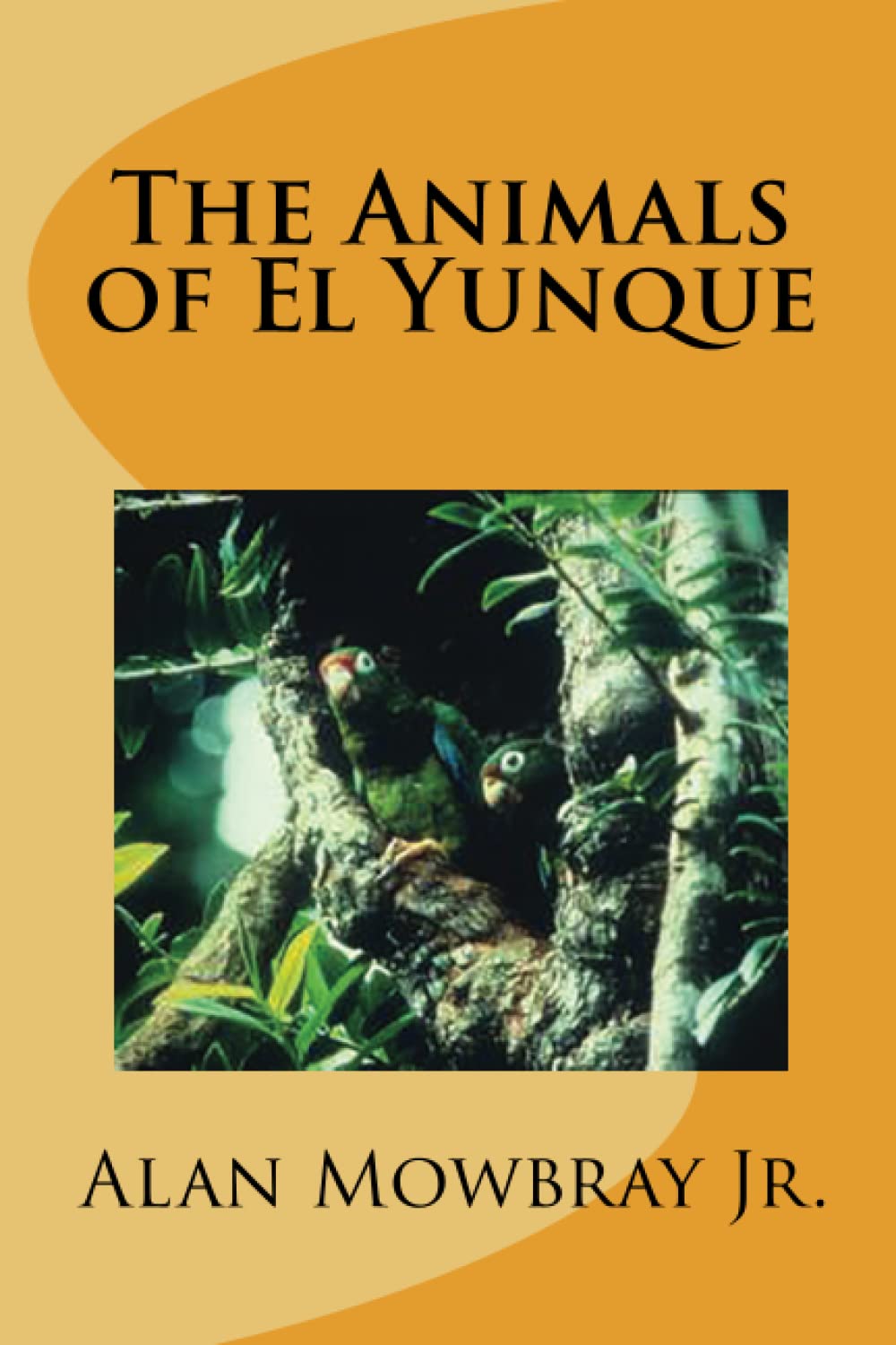 The Animals of El Yunque: Fauna of a Caribbean Island Rainforest ...