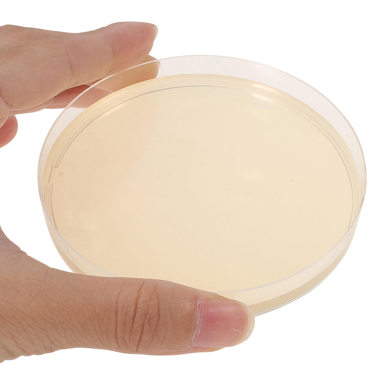Snapklik.com : Totority Potato Dextrose Agar Petri Dishes - Prepoured ...