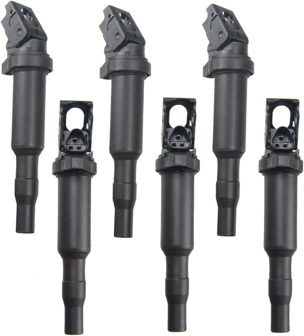 Amazon.com: Set of 6 Ignition Coils Pack for BMW E46 E53 E60 E70 E85 ...