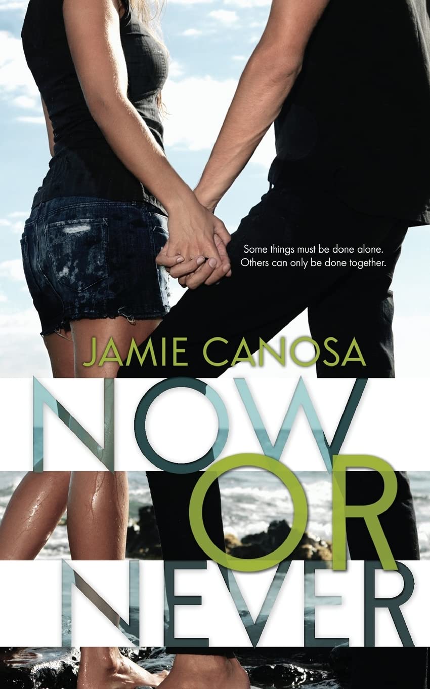 Now or Never (Fight or Flight): Canosa, Jamie: 9781493713394: Amazon ...