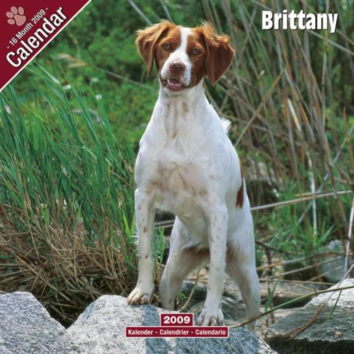 2009 Brittany Wall Calendar: Avonside Publishing: 9781846626395: Amazon ...