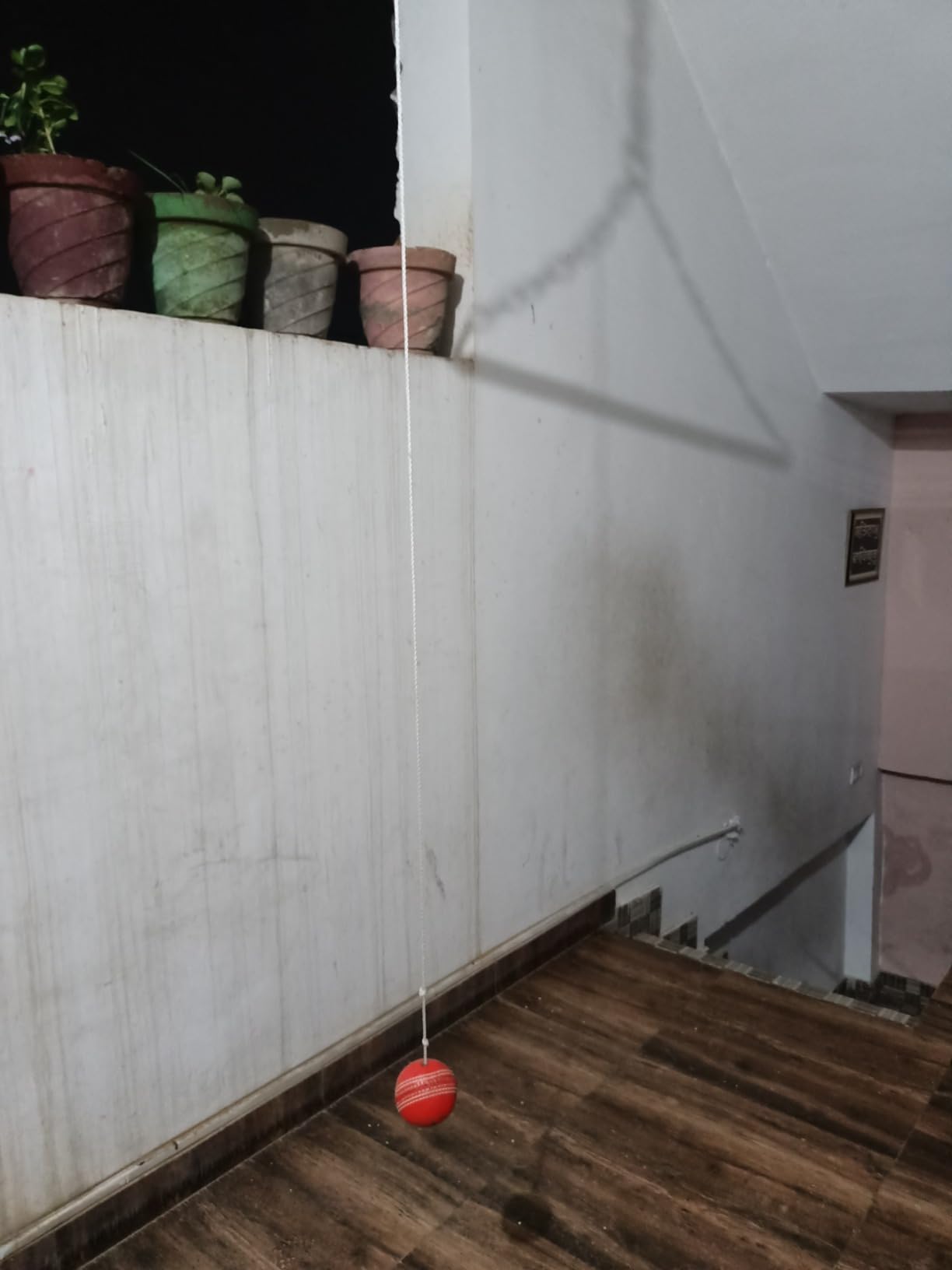 APG Leather Hanging Practice Cricket Ball (Red) Standard Size : Amazon ...