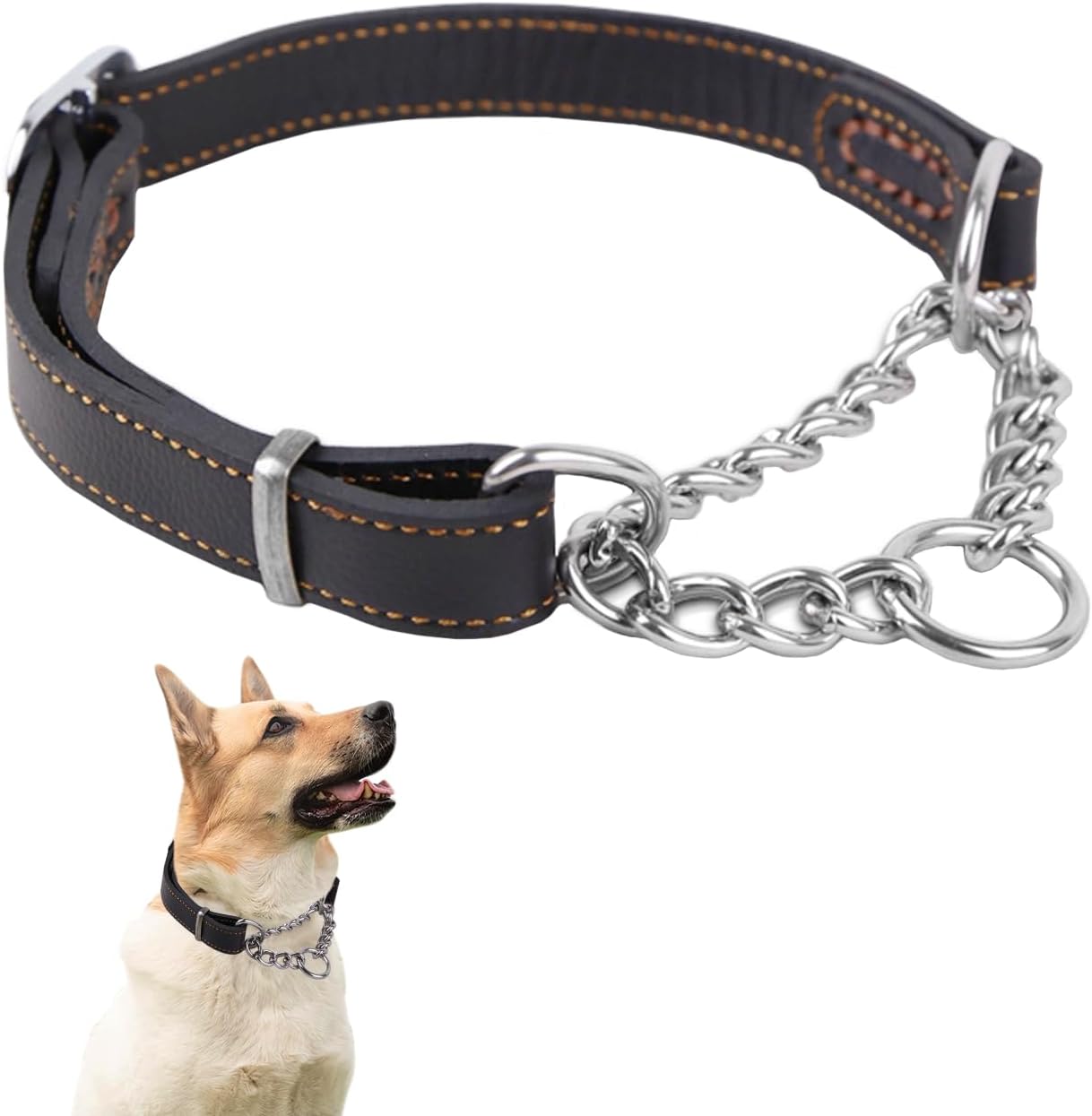 Mighty Paw Leather Martingale Dog Collar | Premium No Pull Dog Collar ...