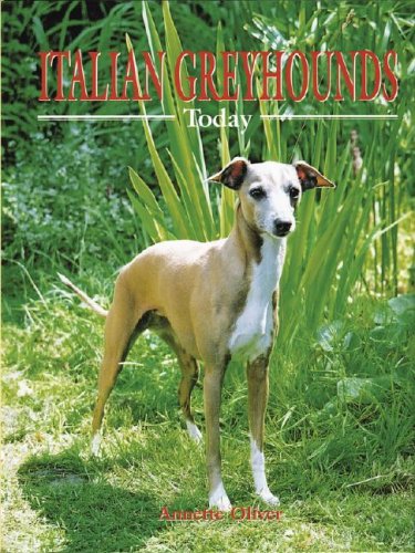 Italian Greyhounds Today (Book of the Breed S): Amazon.co.uk: Oliver ...