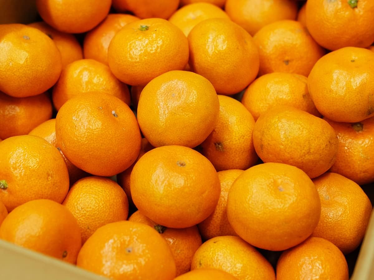 Amazon.co.jp: 佐賀県産 あんみつみかん （あんみつ姫） 秀品 4kg (2S～Sサイズ) : 食品・飲料・お酒