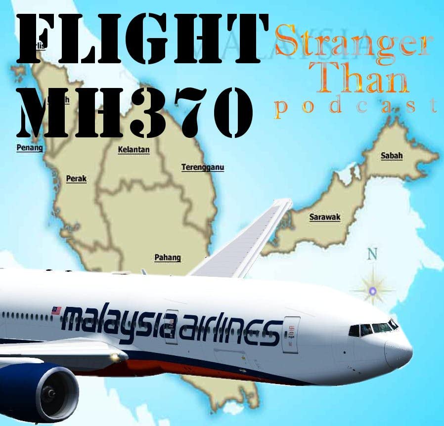 Malaysia Airlines Flight mh370 : Amazon.in: Books