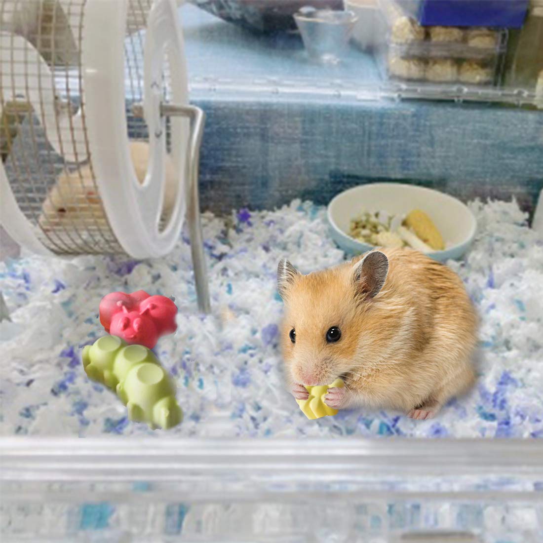 Hamster Teeth What They Are, And How To Treat Them | atelier-yuwa.ciao.jp