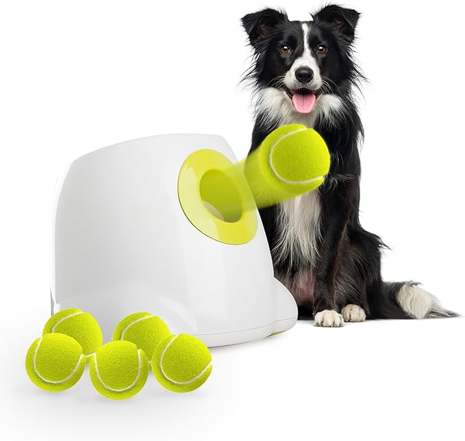Amazon.com: ALL FOR PAWS Automatic Ball Thrower for Dogs, Interactive ...