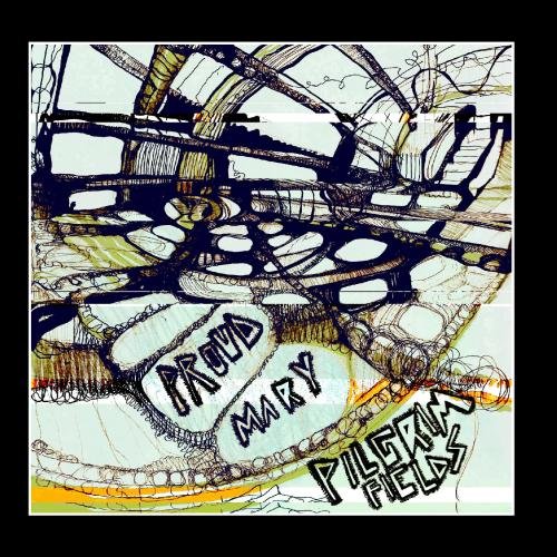 Amazon.com: Pilgrim Fields: CDs & Vinyl