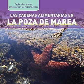 Las cadenas alimentarias en la poza de marea / Tide Pool Food Chains ...