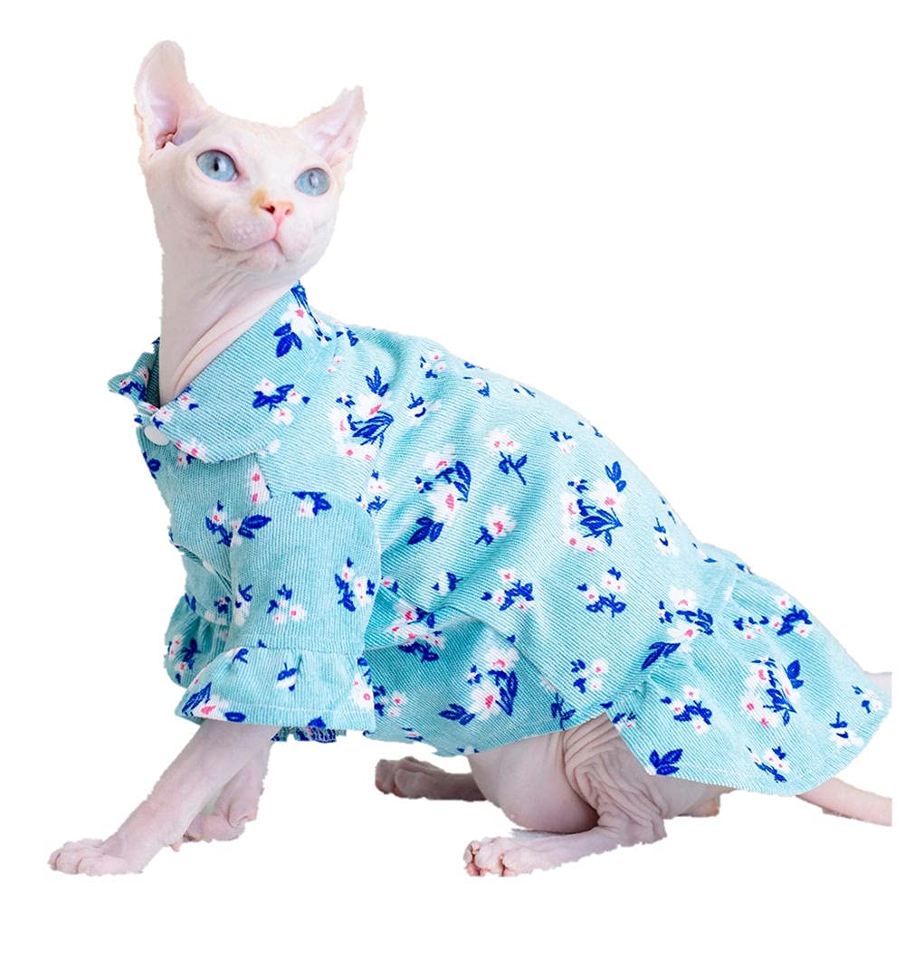 Gato Con Vestido Azul Ideas Sobre Ropa De Gato | Ropa De Gato, Gatos