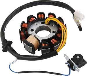 Amazon.com: Stator Coil 11 Pole 6 Coil Compatible with GY6 125 150cc ...