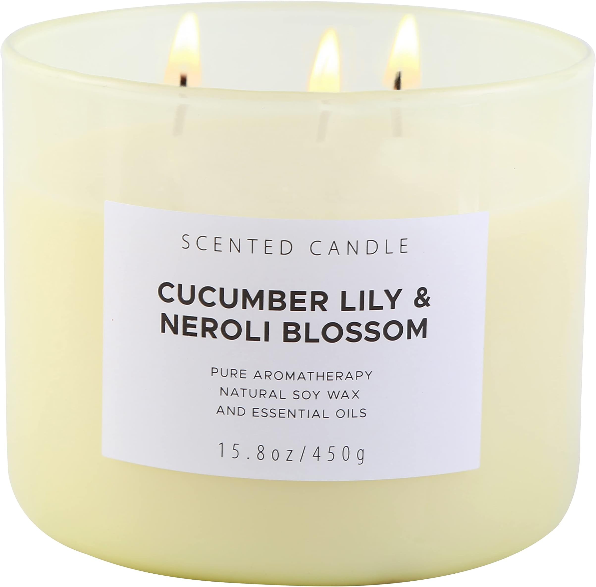 Amazon.com: Just Makes Scents Cucumber Melon Scented Blended Soy Candle ...