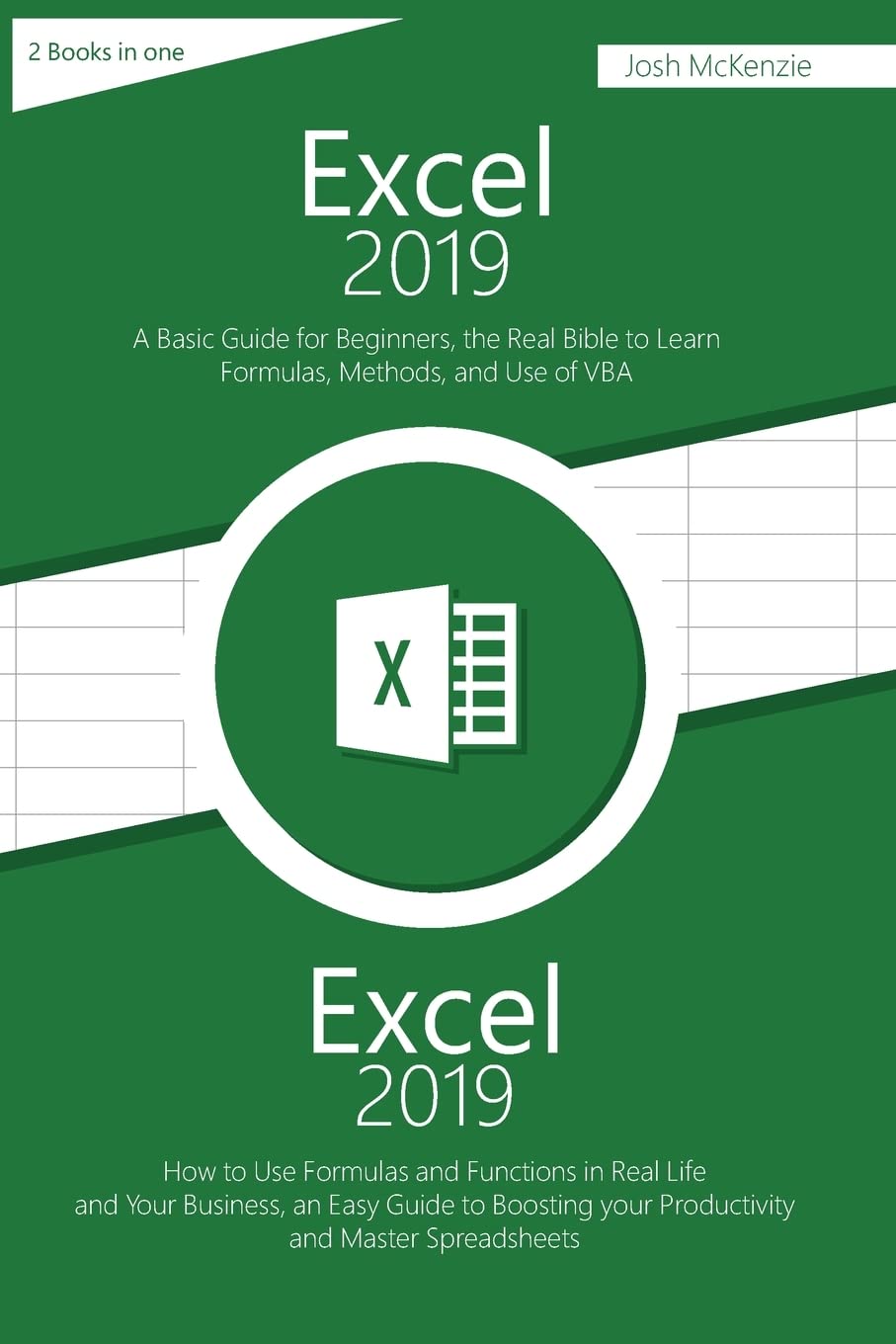 Excel 2019 2 Books In One A Basic Guide For Beginners How To Use Formulas And Functions In