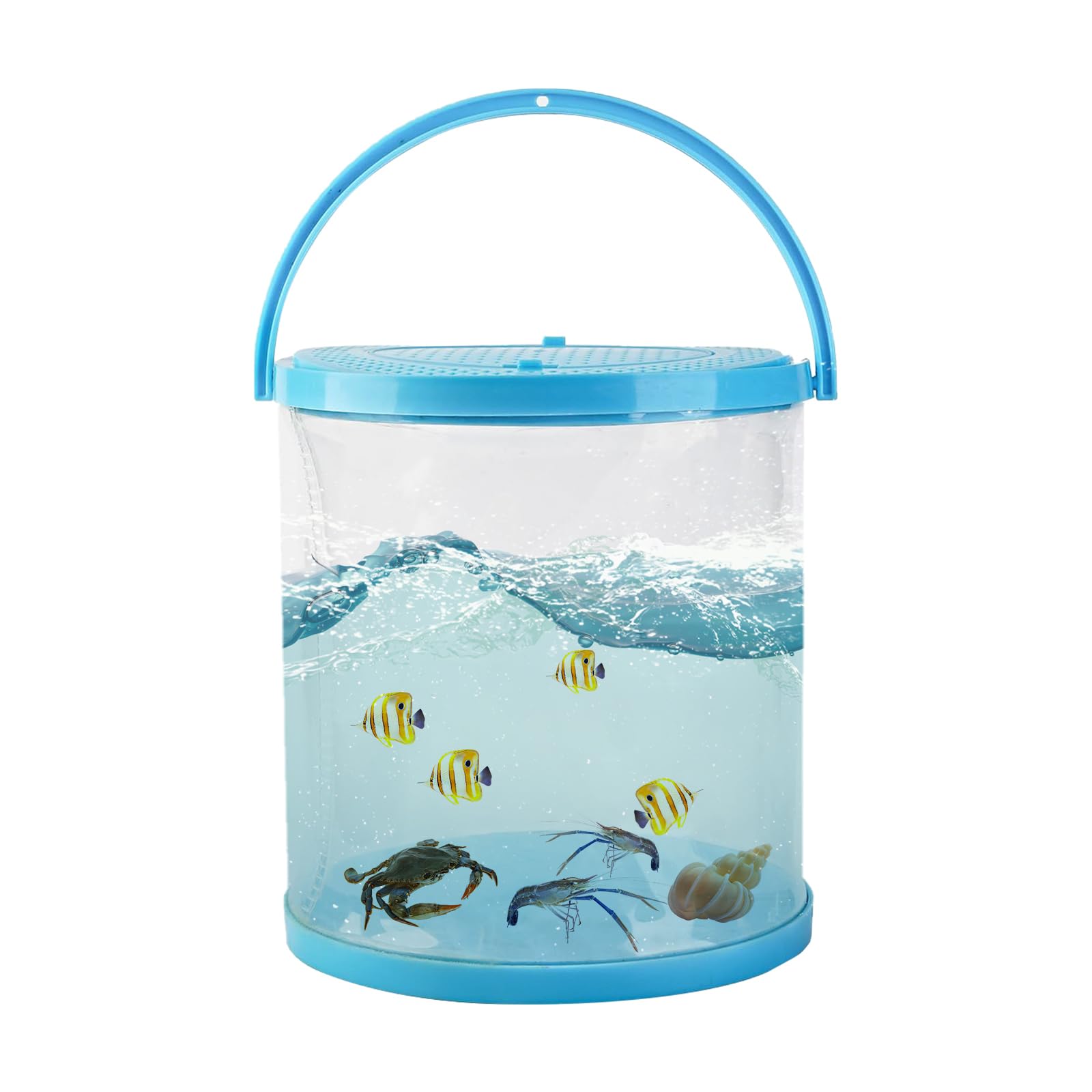 Amazon.com : Foldable Small Aquarium, Portable Fish Tank, Fish ...
