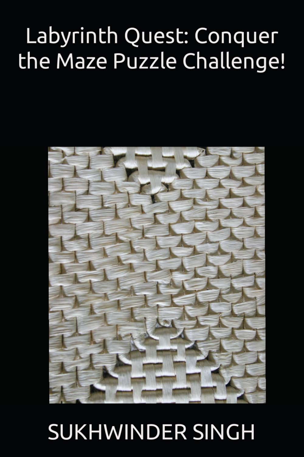 Labyrinth Quest: Conquer the Maze Puzzle Challenge! : SINGH, Mr ...