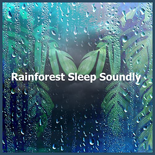 Amazon.com: Rainforest Sleep Soundly : Rainforest Sound Scapes: Digital ...